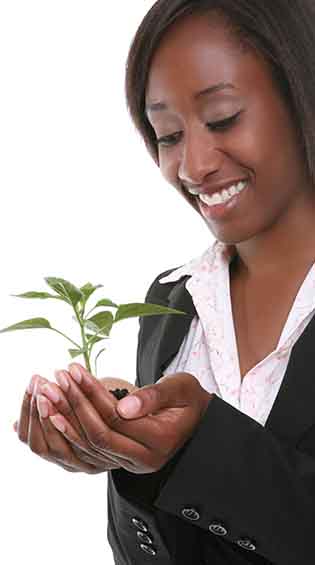 About Us – Carbon Link Africa